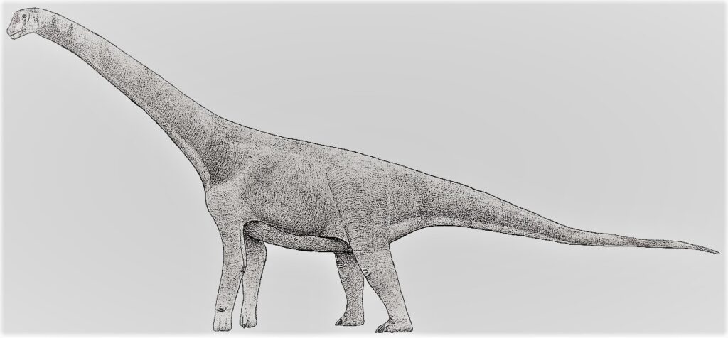 チュブティサウルス（Chubutisaurus） | 恐竜マンblog